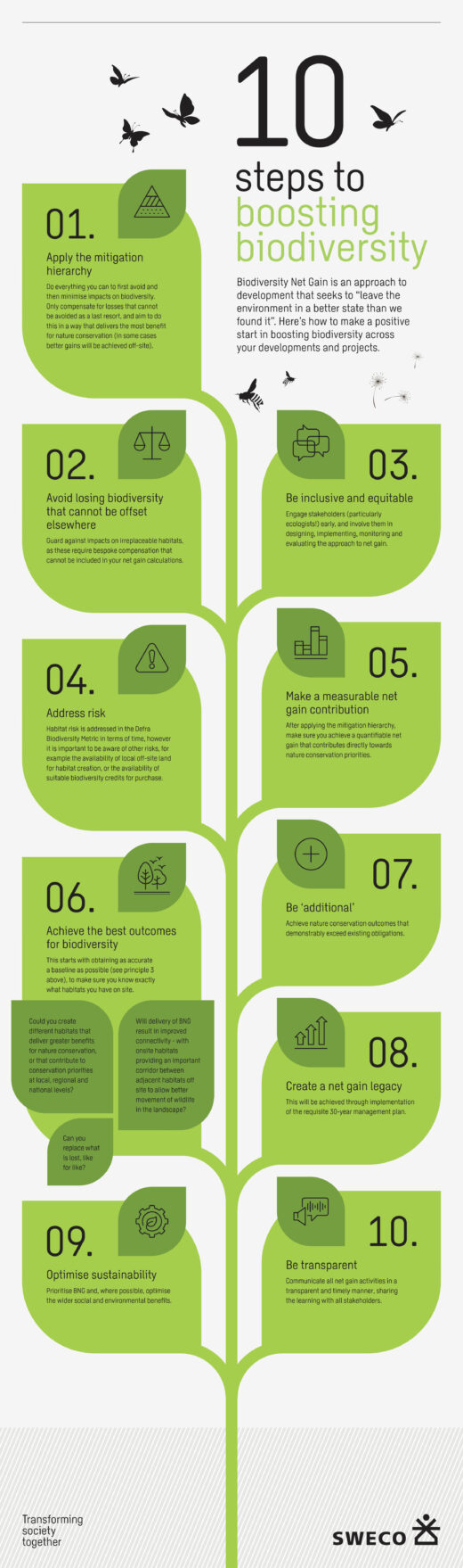 Infographic: How to achieve Biodiversity Net Gain - Sweco UK