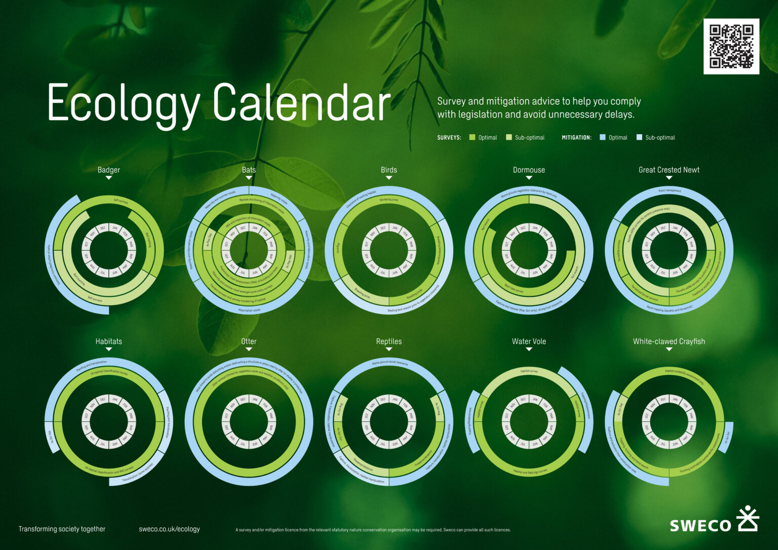 Ecology & Biodiversity Consultancy - Sweco UK